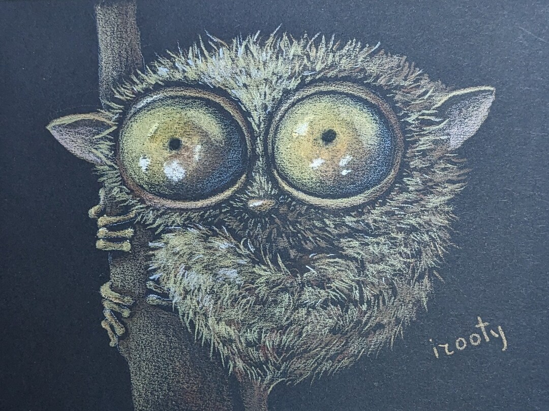 Tarsier Original Painting Framed Art for Living Room Gift for ...