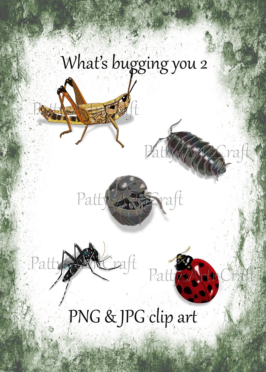 What's Bugging You 2? Digital Clipart - Etsy