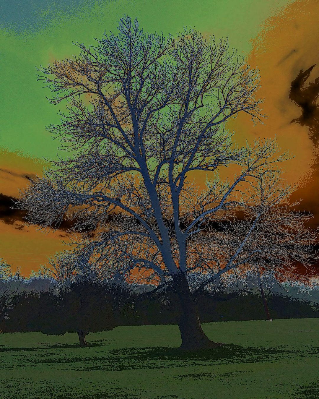 16x20 Digital Downloadable Art, Bold Treescape, Landscape, Digital ...