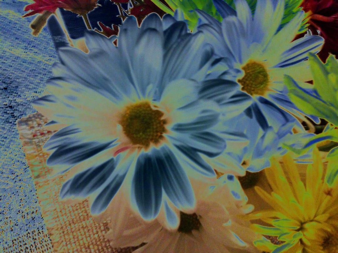 40 X 30 Digital Downloadable Art, Floral Art Print, Digital Art Print ...