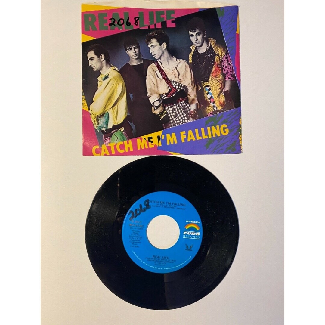 Real Life Catch Me Im Falling Exploding Bullets Picture Sleeve - Etsy