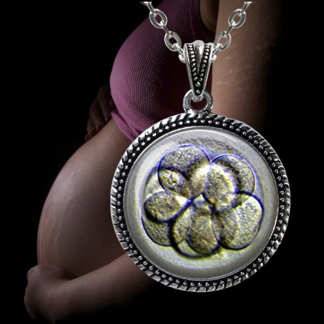 Personalized IVF Embryo Keepsake Necklace: in Vitro Fertilization ...