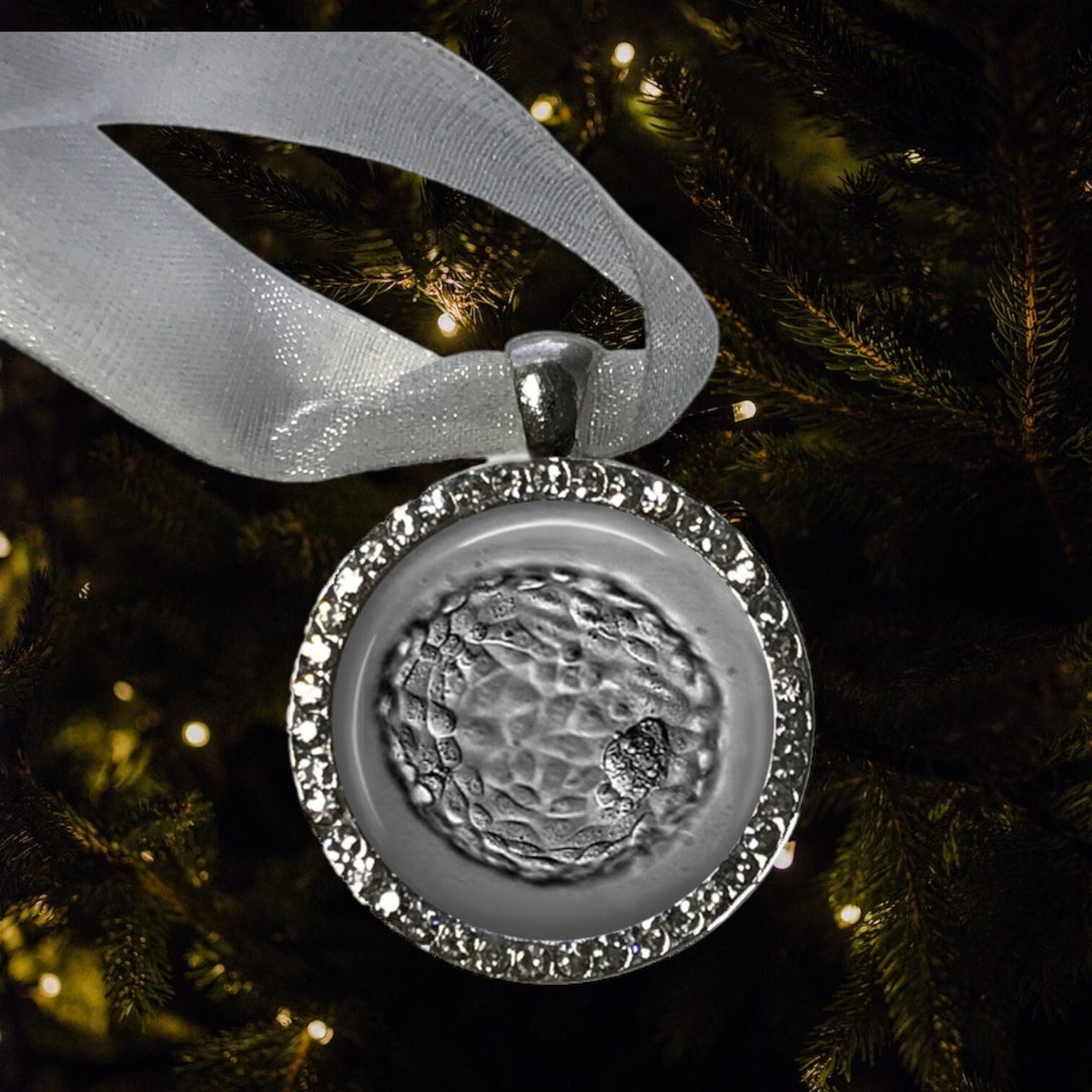 Personalized IVF Embryo Christmas Ornament: Rhinestone Keepsake Photo ...