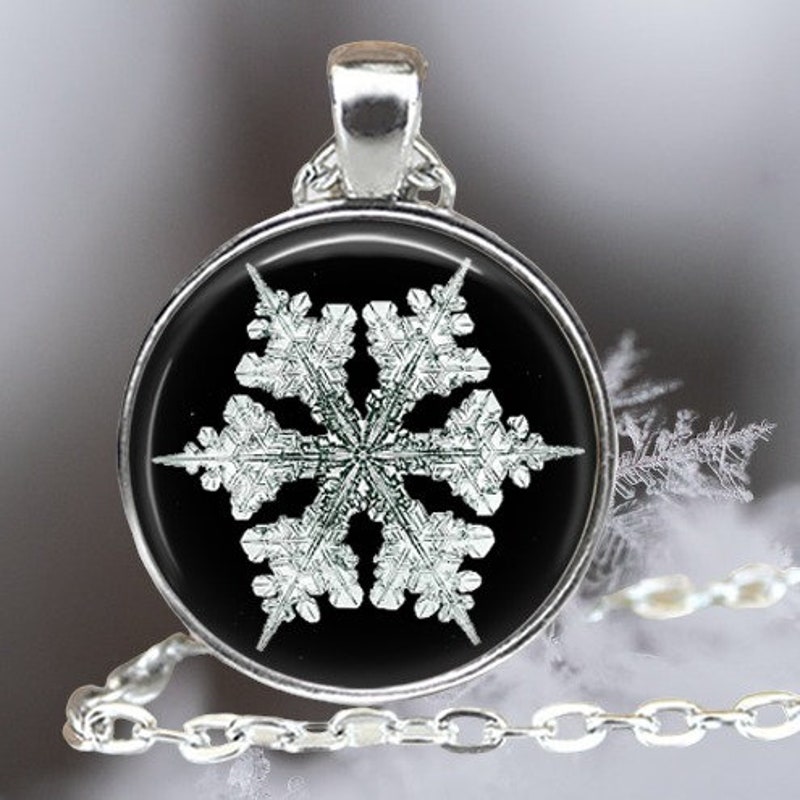 Preserved Snowflakes - Etsy
