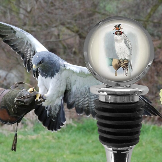 Falcon Guide Tinyurl