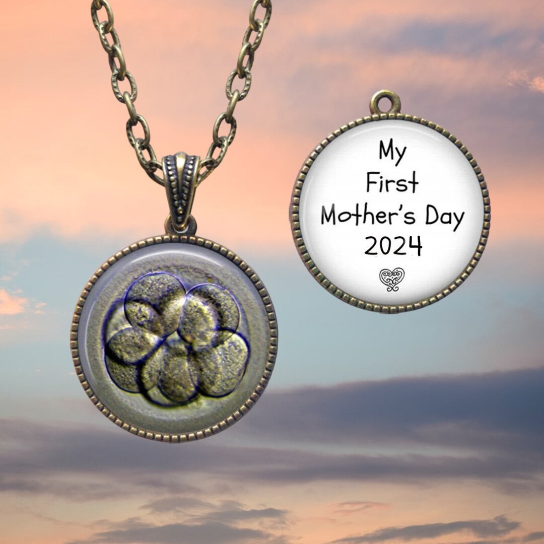 IVF Gifts - Blastocyst Necklace - Personalized Embryo Keepsake - in ...