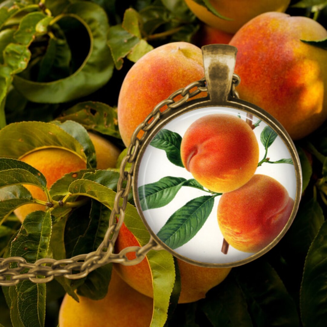 Peach Pendant Necklace: Botanical Jewelry, 1880s Lithograph - Etsy