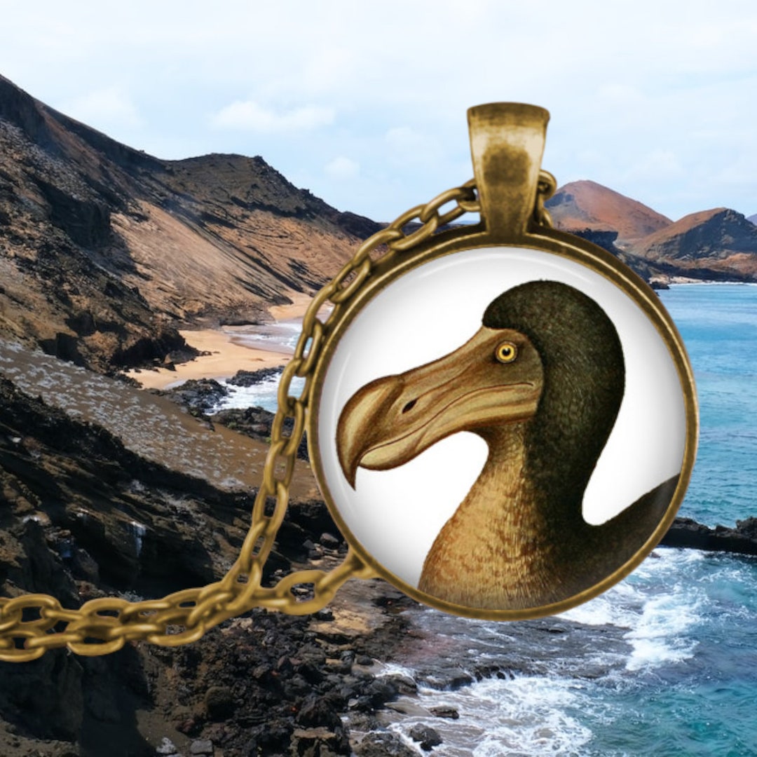 Dodo Bird Pendant Necklace - Extinction Botanical Jewelry - Wildlife ...