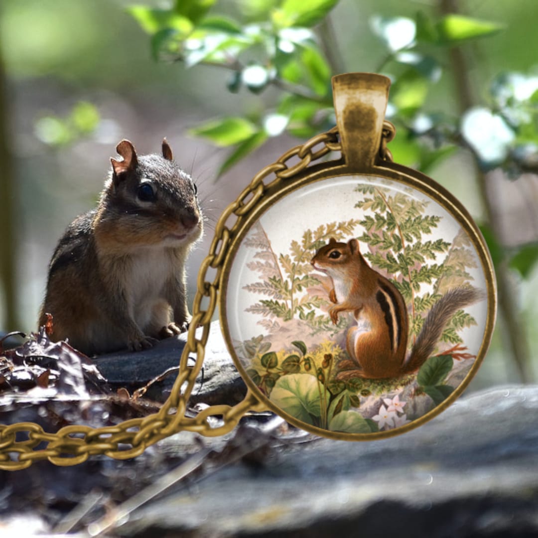 Chipmunk Pendant Necklace: Vintage Wildlife Jewelry, Forest Animal Gift ...