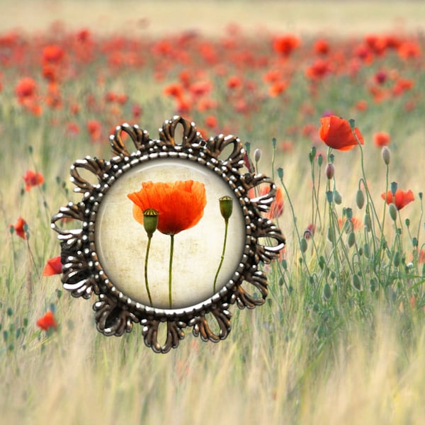 Orange Poppies - Etsy