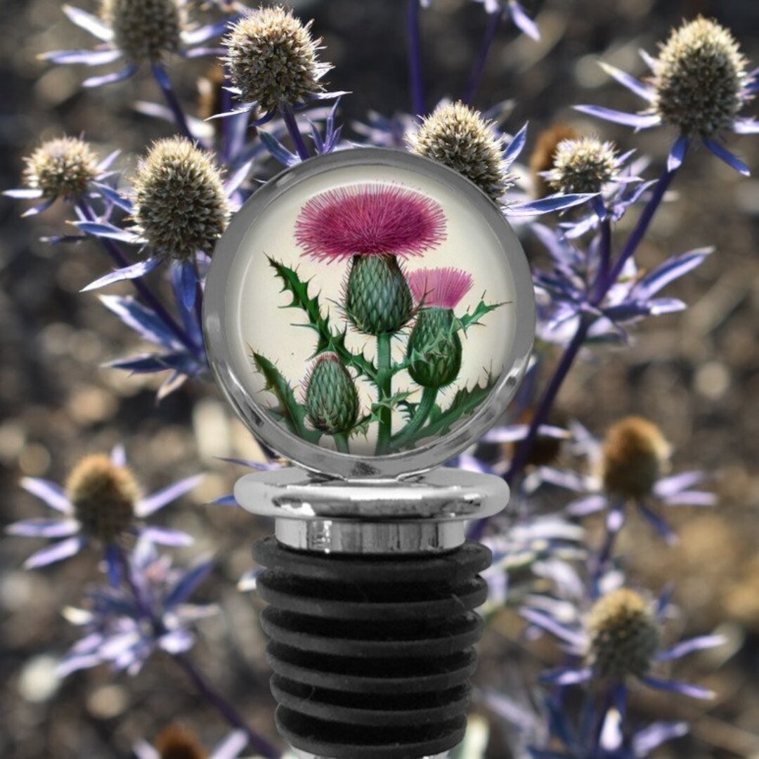 Scottish Thistle Wine Stopper: Vintage Flower Lover Gift - Etsy