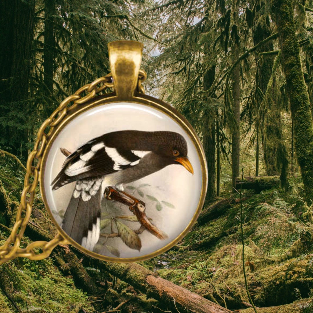 Magpie Pendant Necklace: Vintage Bird Illustration Jewelry, Birdwatcher ...