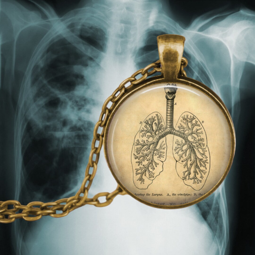 Human Lungs Necklace: Vintage Anatomy Jewelry, Respiratory Gift - Etsy