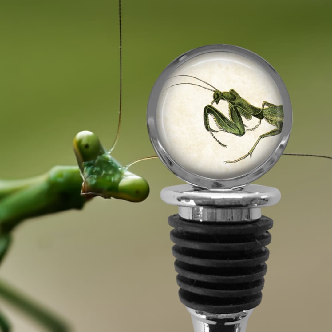 Praying Mantis Wine Stopper: Vintage Insect Art, Gardener Gift - Etsy