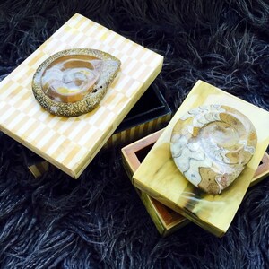 Inlayed Bone & Horn Tile Decorative Boxes With Stunning Ammonite Shell ...