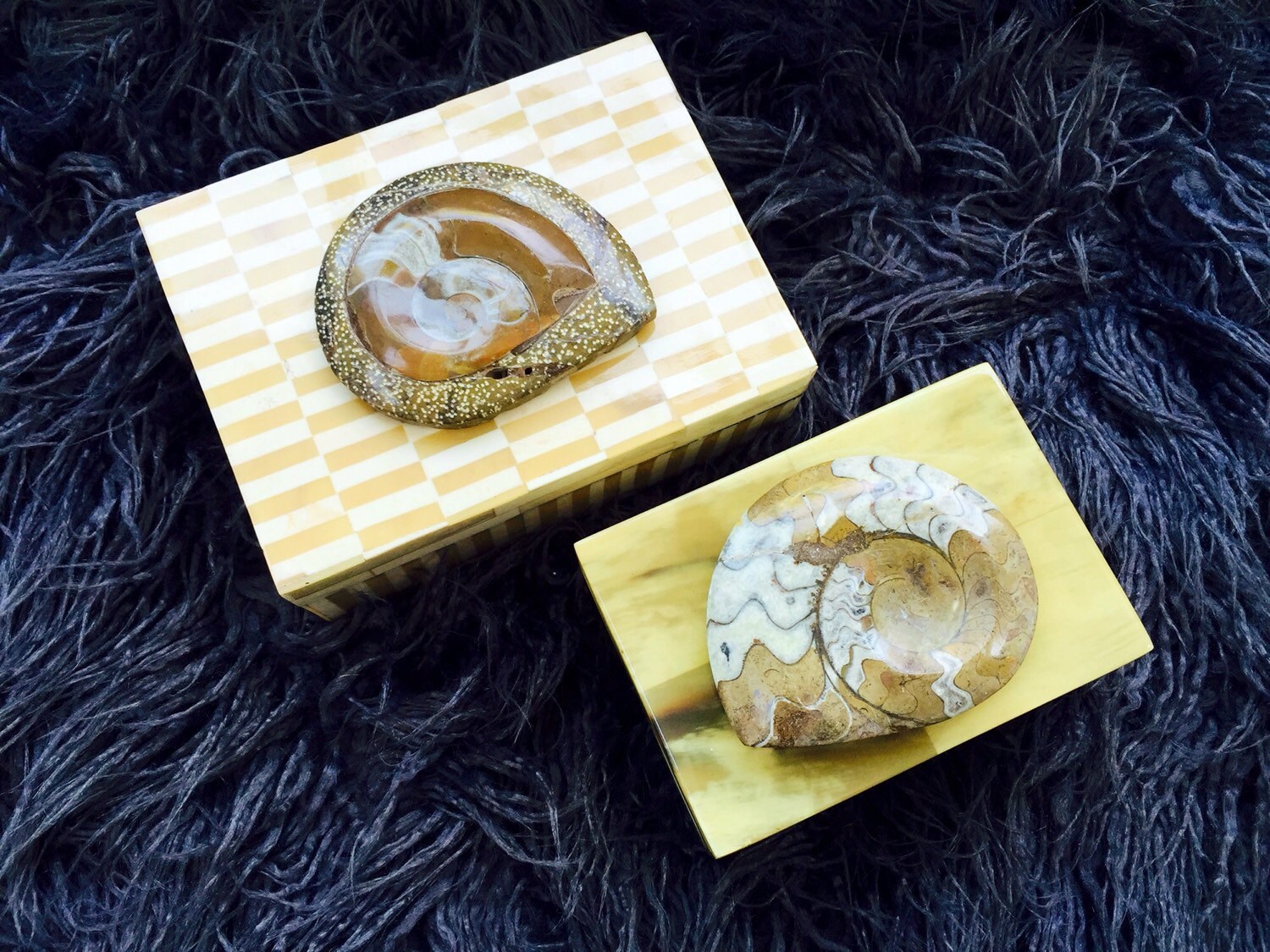 Inlayed Bone & Horn Tile Decorative Boxes With Stunning - Etsy