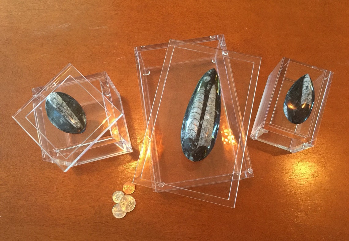 Modern Lucite Desk or Bath Set With Natural Orthoceras Fossil | Etsy