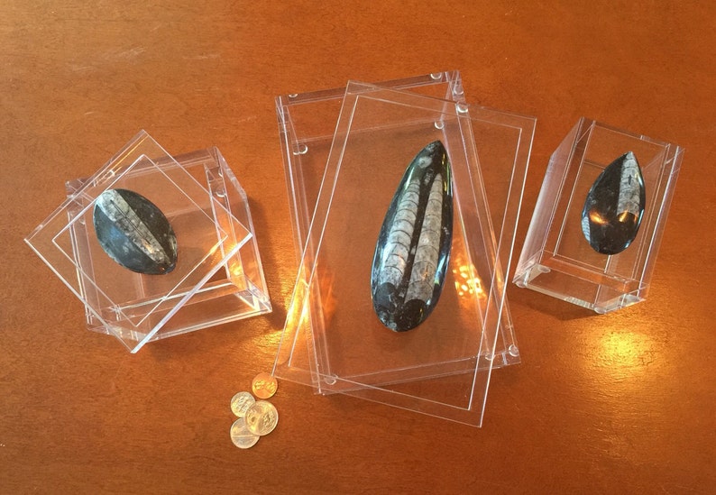 Modern Lucite Desk or Bath Set With Natural Orthoceras Fossil | Etsy