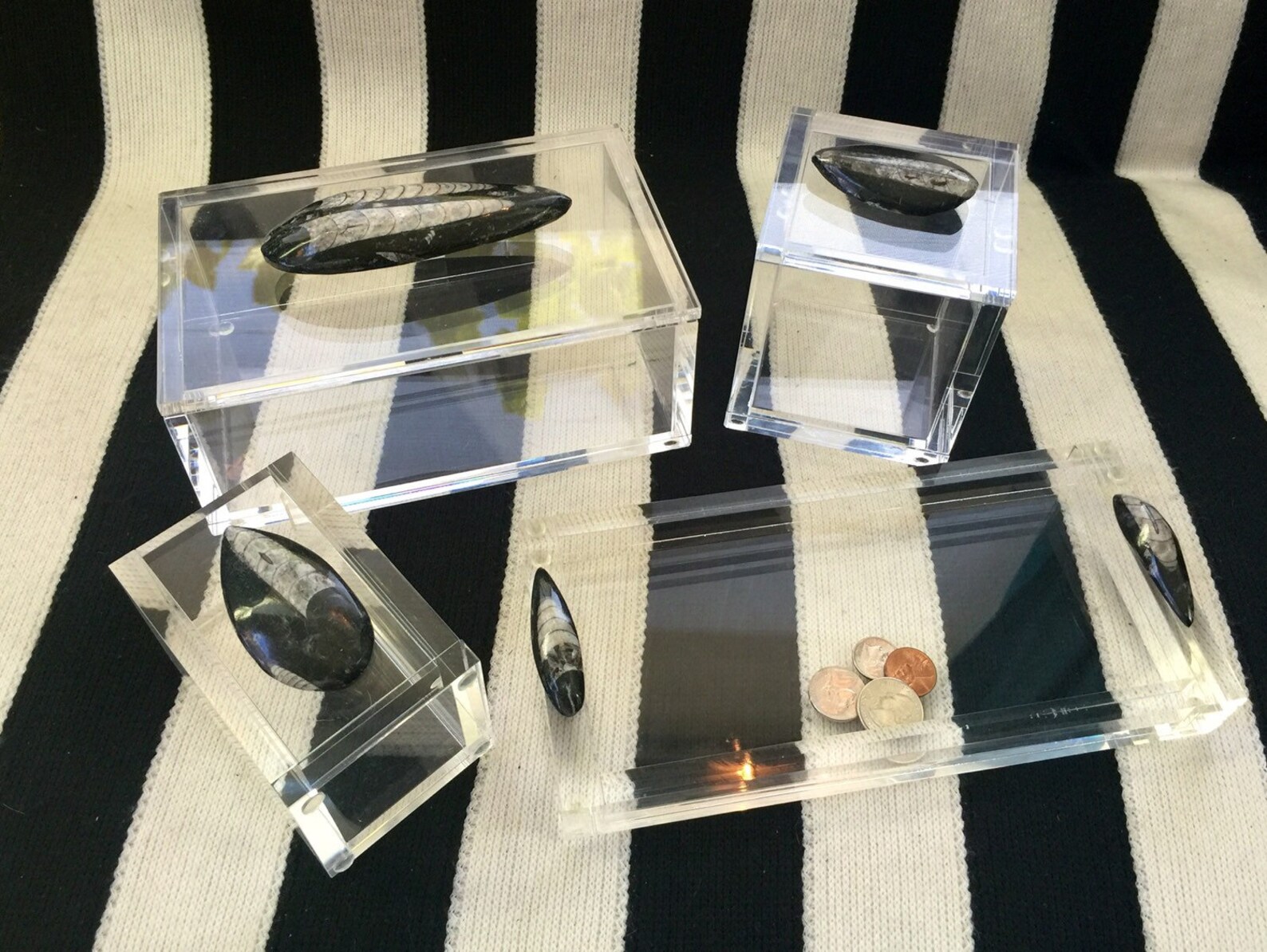 Modern Lucite Desk or Bath Set With Natural Orthoceras Fossil | Etsy