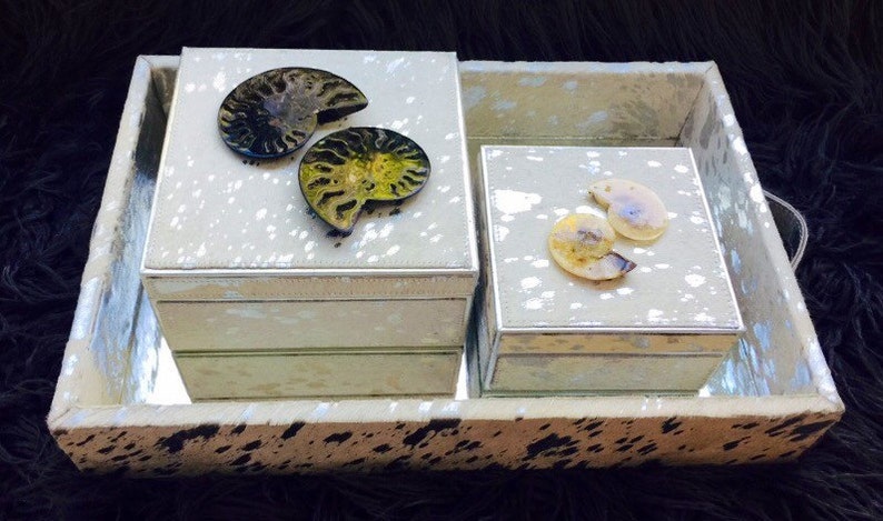 White Cowhide Leather Boxes With Gilding & Choice of Shell or Pyrite ...