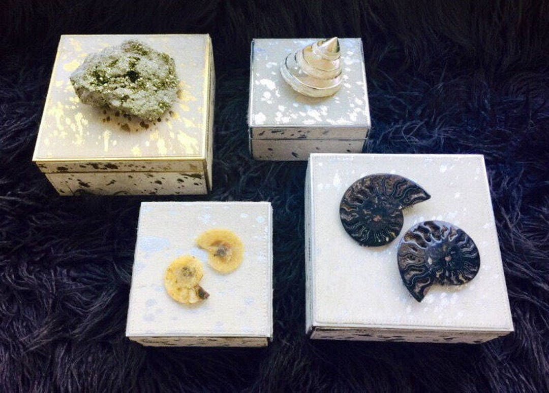 White Cowhide Leather Boxes With Gilding & Choice of Shell or Pyrite ...