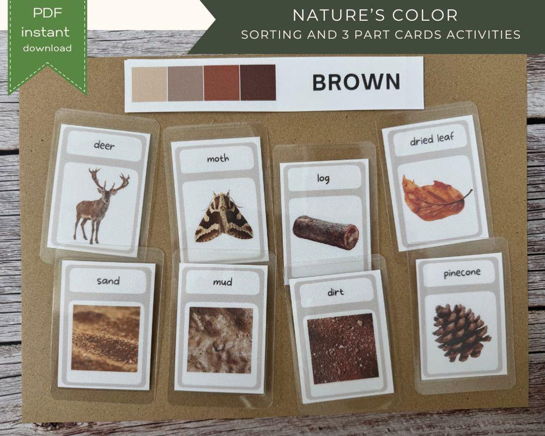 Nature Color Sorting Activity, Montessori 3-part Cards (41 Pages) - Etsy