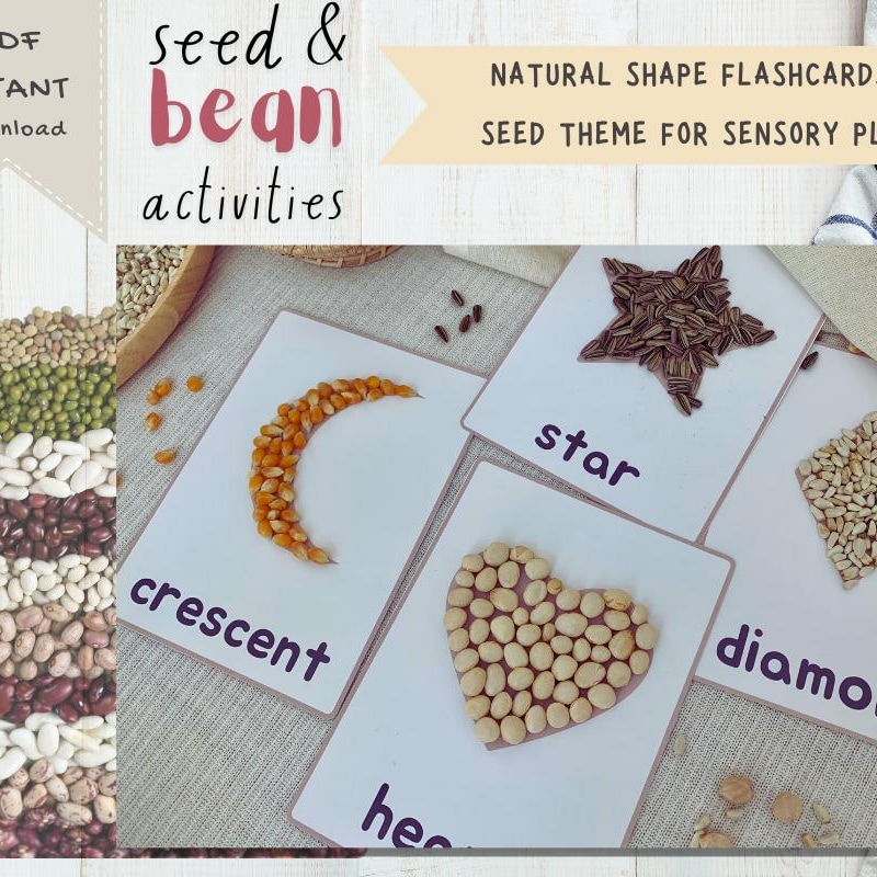 Reggio Emilia - Etsy