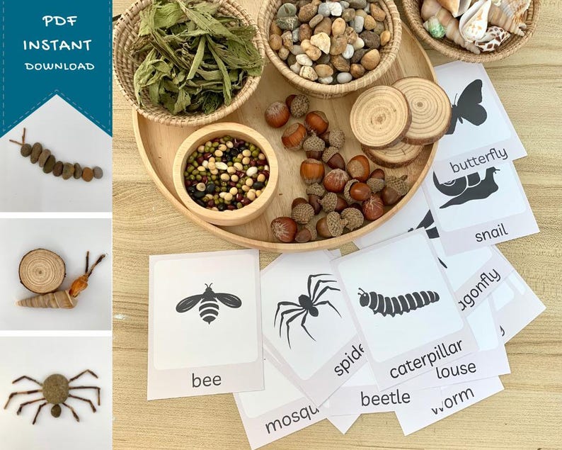 20 Bug Flashcards | Bug Flash Cards | Natural Loose Parts Cards ...
