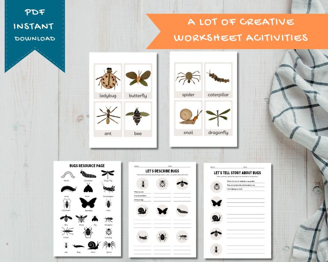 20 Bug Flashcards | Bug Flash Cards | Natural Loose Parts Cards ...