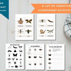20 Bug Flashcards | Bug Flash Cards | Natural Loose Parts Cards ...