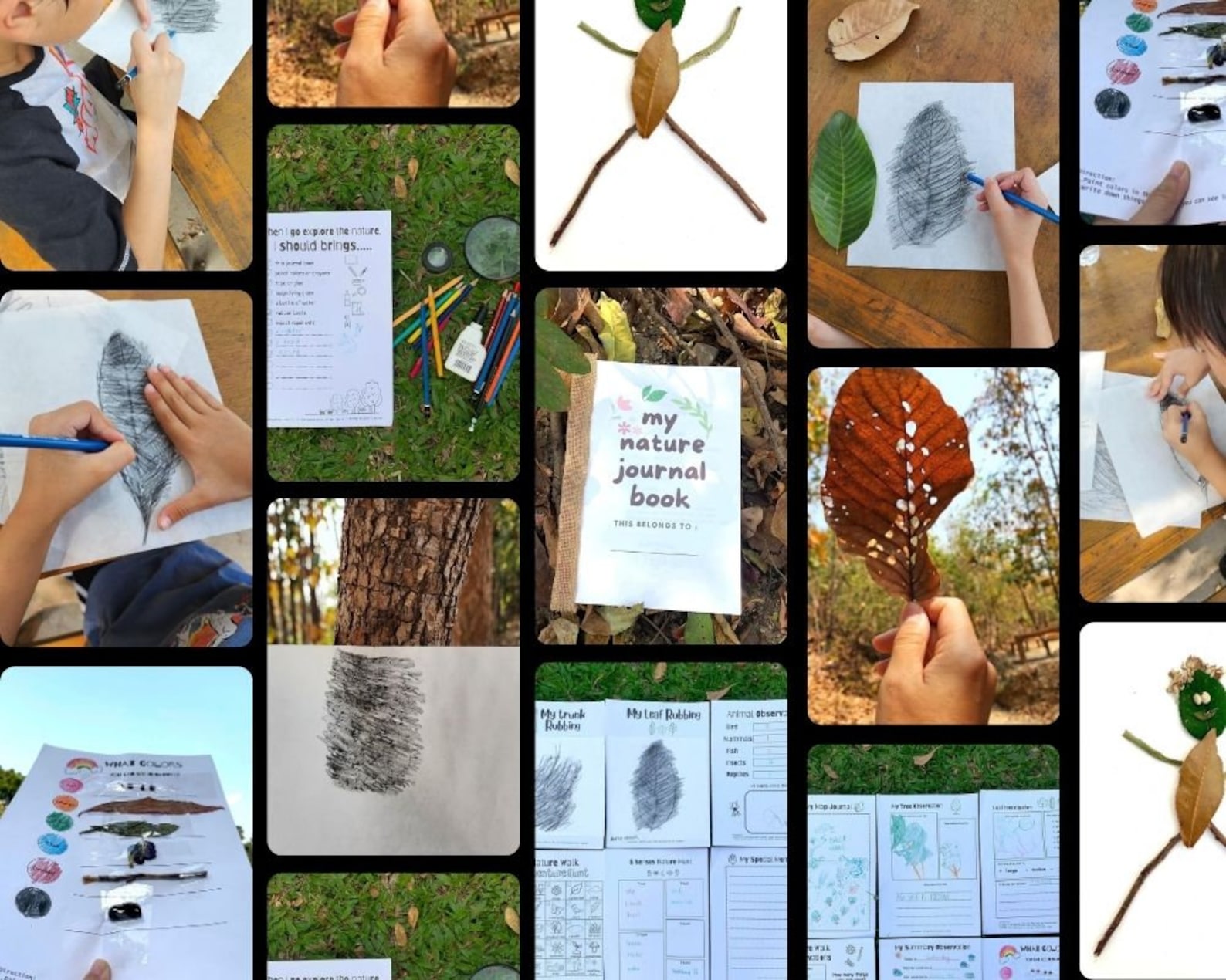 20 Pages of My Nature Journal Book, Nature Book, Nature Journal ...