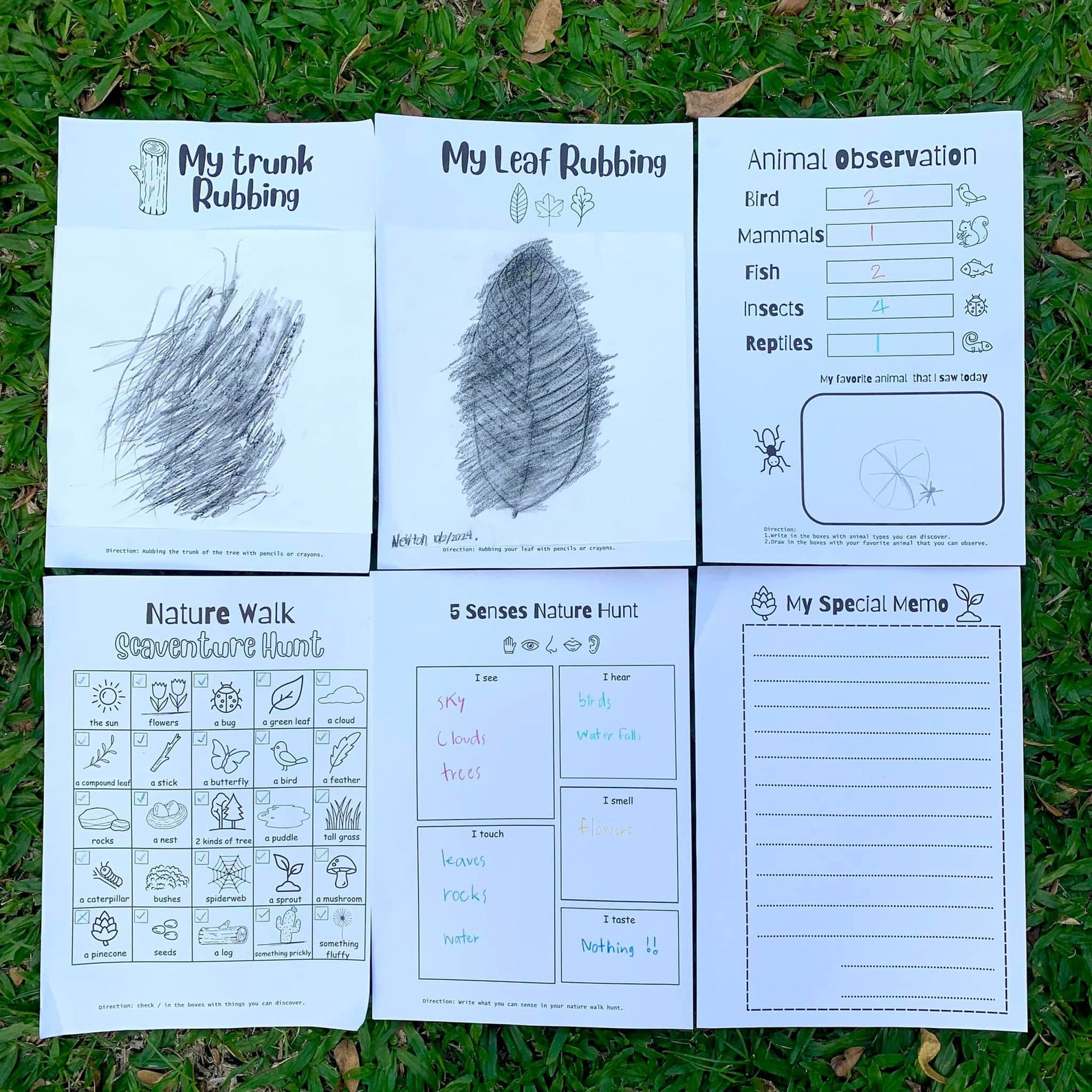 20 Pages of My Nature Journal Book, Nature Book, Nature Journal ...