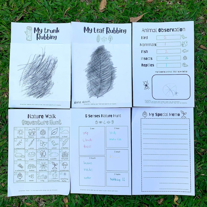 20 Pages of My Nature Journal Book, Nature Book, Nature Journal ...