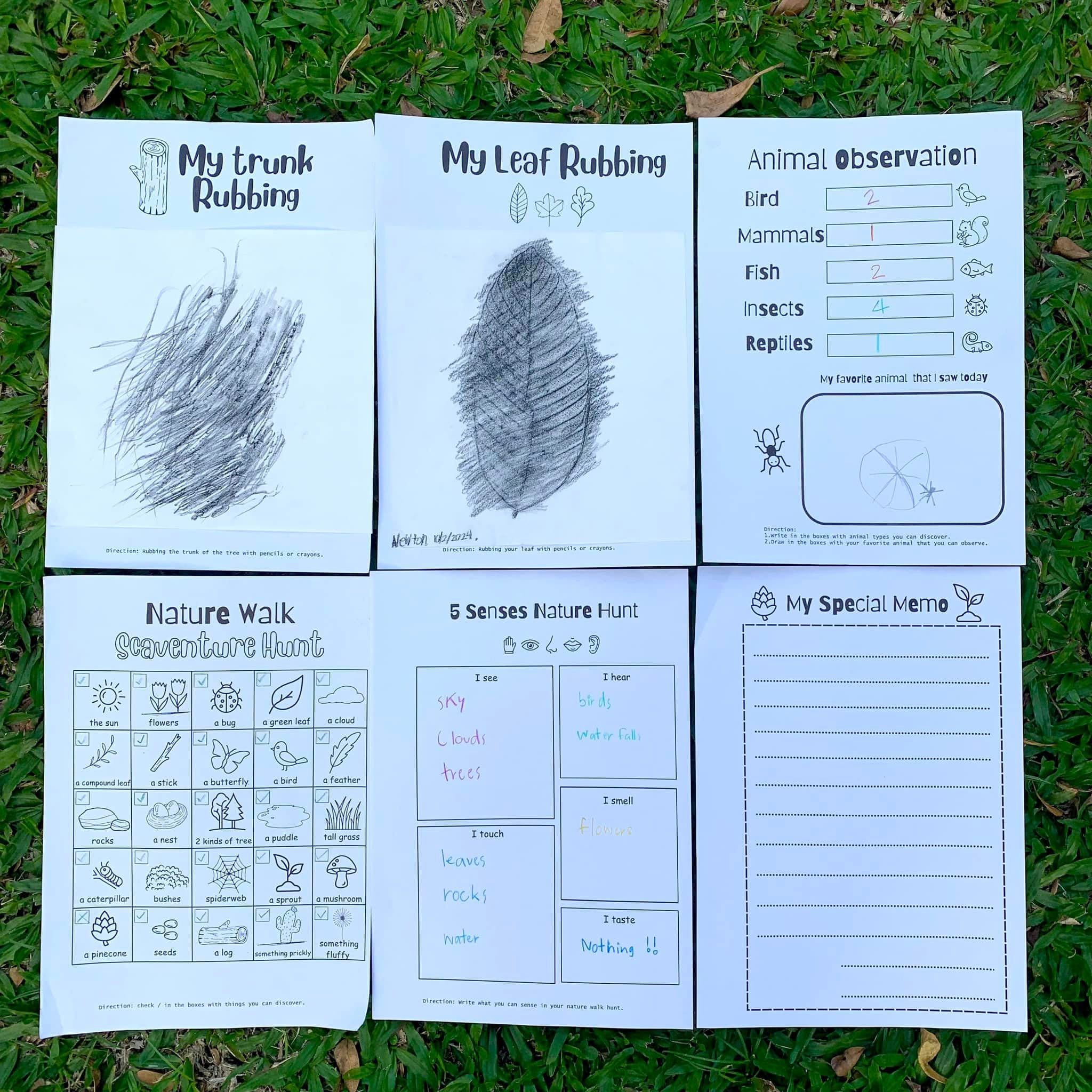 20 Pages of My Nature Journal Book, Nature Book, Nature Journal ...