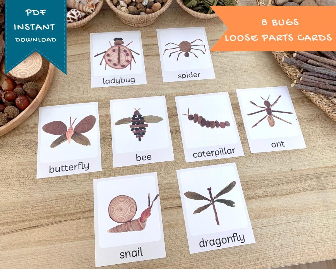 20 Bug Flashcards | Bug Flash Cards | Natural Loose Parts Cards ...