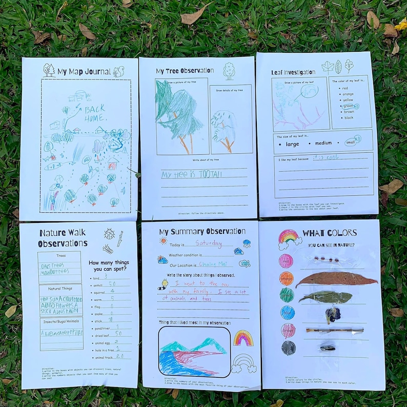 20 Pages of My Nature Journal Book, Nature Book, Nature Journal ...