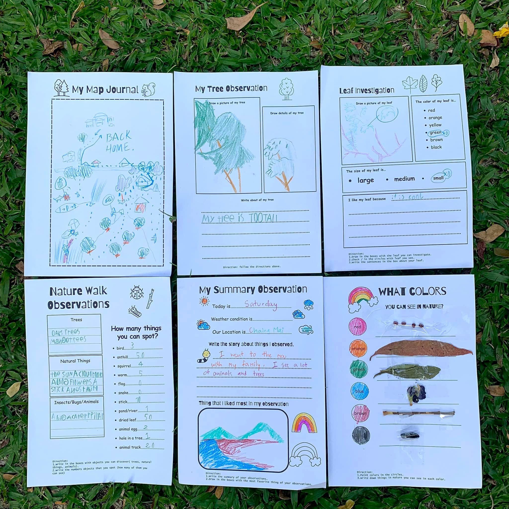 20 Pages of My Nature Journal Book, Nature Book, Nature Journal ...