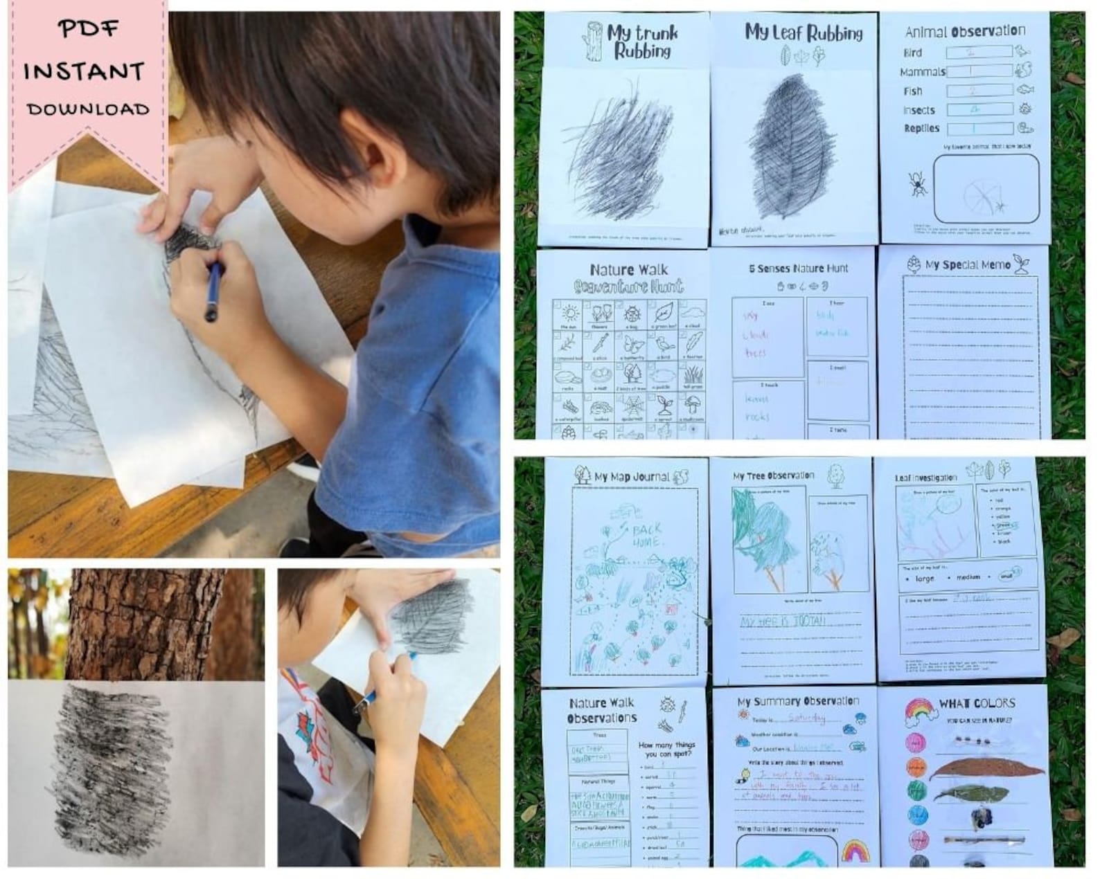 20 Pages of My Nature Journal Book, Nature Book, Nature Journal ...