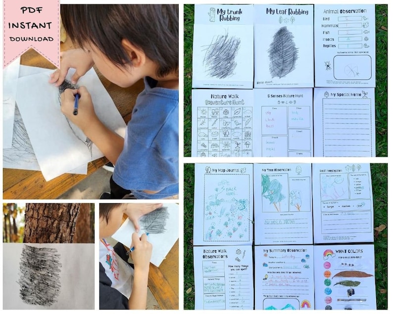 20 Pages of My Nature Journal Book, Nature Book, Nature Journal ...