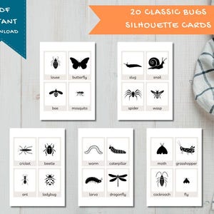 20 Bug Flashcards | Bug Flash Cards | Natural Loose Parts Cards ...