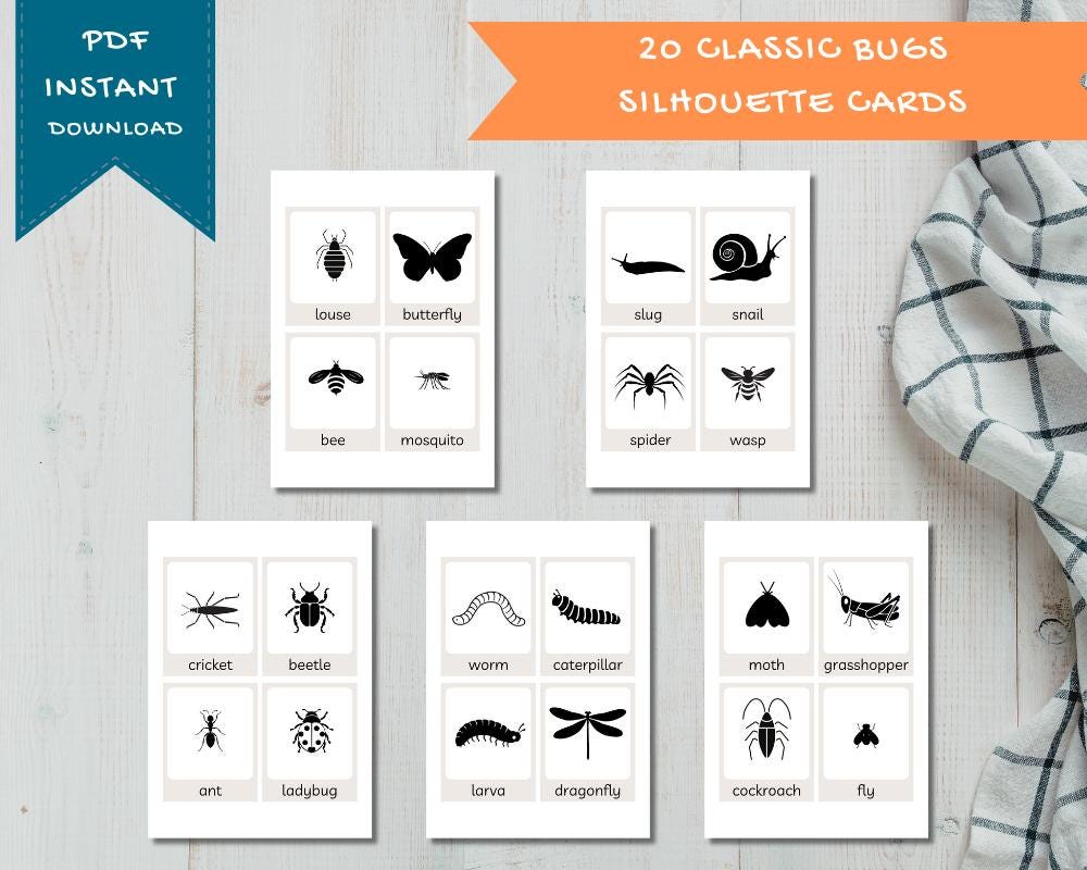 20 Bug Flashcards | Bug Flash Cards | Natural Loose Parts Cards ...