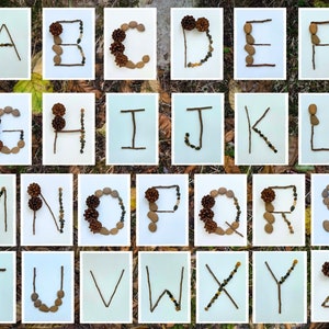 Natural Loose Parts Card Pinecones,wooden Sticks,rocks, Alphabet A-Z ...