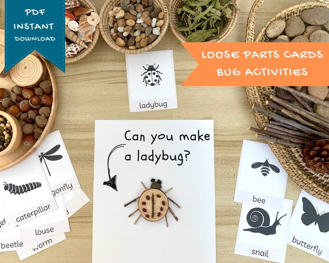 20 Bug Flashcards | Bug Flash Cards | Natural Loose Parts Cards| Printable Bug Cards for Kids ...