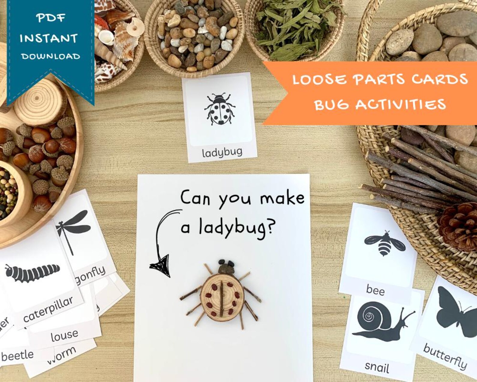 20 Bug Flashcards | Bug Flash Cards | Natural Loose Parts Cards ...
