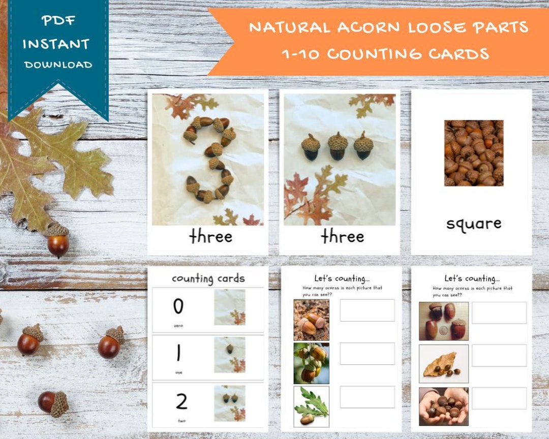 Loose Parts Card, Natural Acorn Cards, Nature Loose Parts, Montessori ...