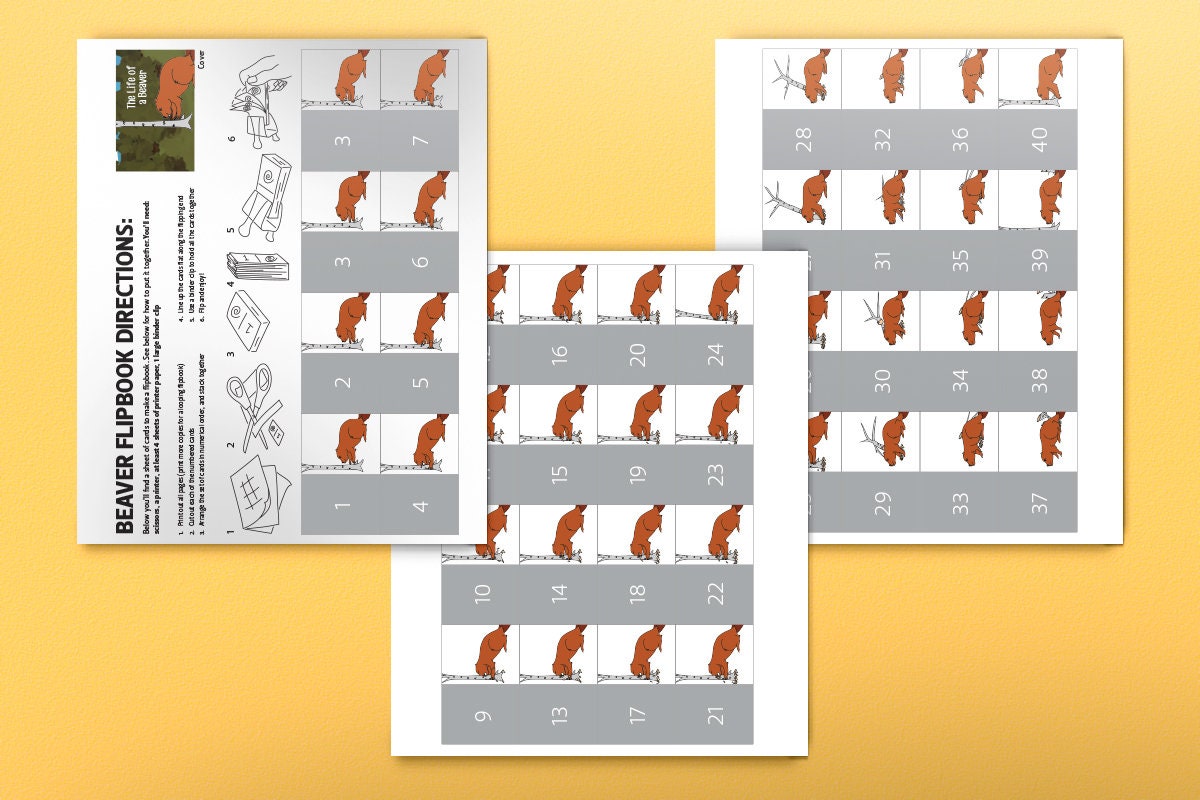 Beaver - Printable Flipbook (animated by Rigmarole) - Etsy