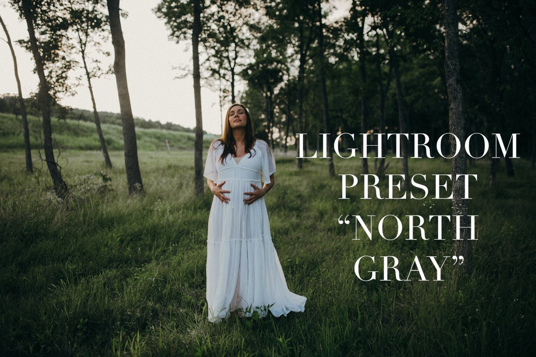 NORTH GRAY - LIGHTROOM Preset for Photographers. Instant Digital ...