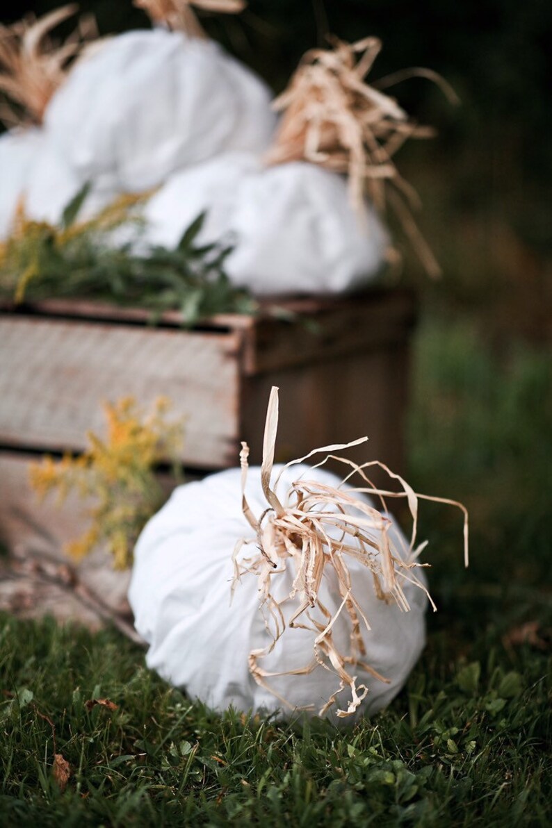 Garlic Hat Garlic Festival Garlic Fascinator Foodie Gift - Etsy