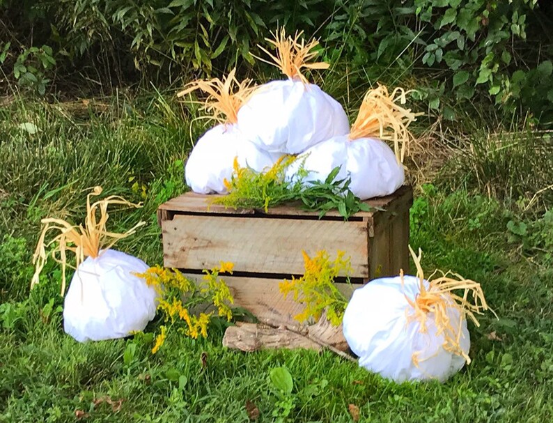 Garlic Hat Garlic Festival Garlic Fascinator Foodie Gift - Etsy