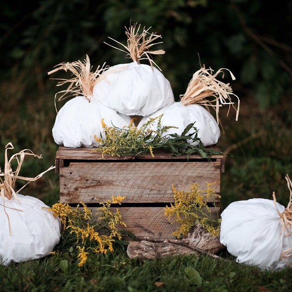 Garlic Costume - Etsy